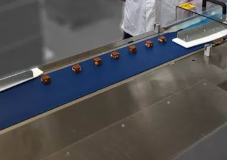 扁平传动带 - Dectyl - AMMERAAL BELTECH - 聚氨酯 / 热塑性塑料 / 食品