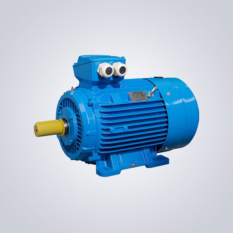 低电压电机 - YE4 Series H63~355 - Jiangsu Dazhong Electric Motor CO., Ltd ...