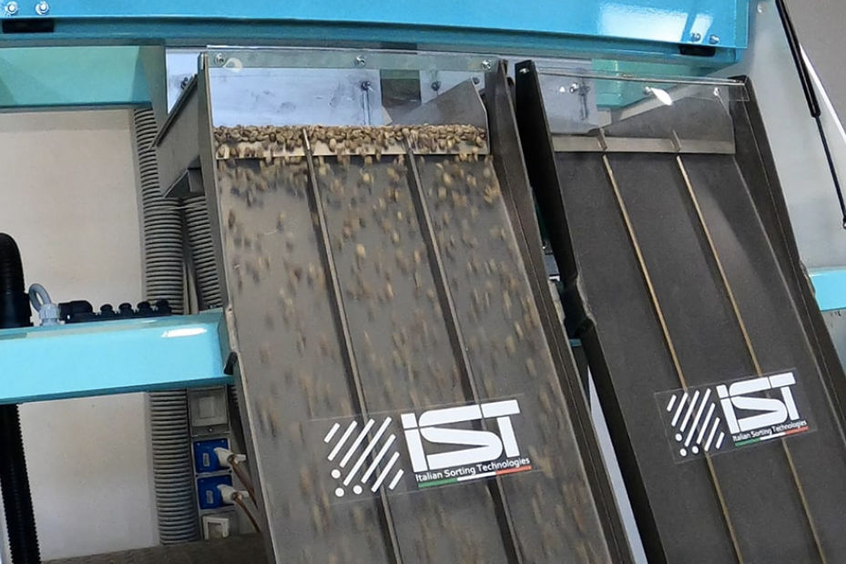 食品工业分拣机 - I.S.T. ITALIAN SORTING TECHNOLOGIES - 用于废料回收 / 光学 / 用于塑料