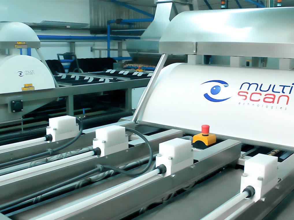 食品工业分拣机 - MULTISCAN i5 - Multiscan Systems - 颜色 / 质量控制 / 橄榄