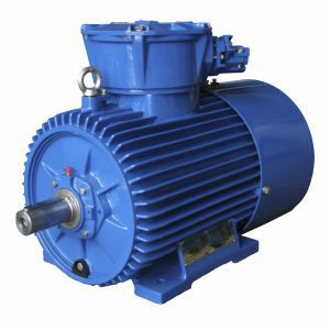 同步电机 - dSg160M6-EP - Cantoni Motor - 三相 / 1000V / IP55