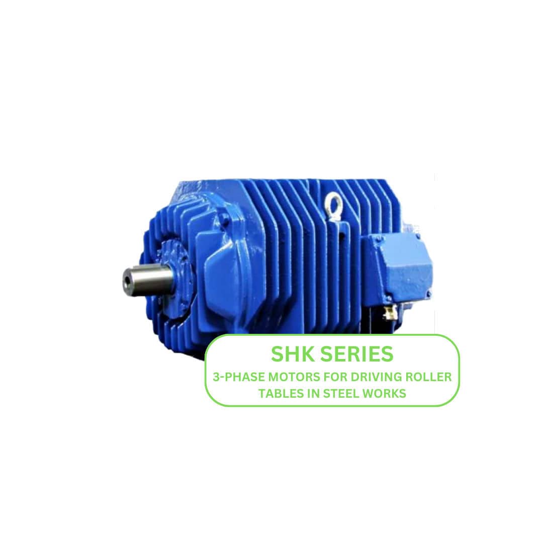异步电机 - SHK series - Cantoni Motor - 3相 / 550 V / IP44