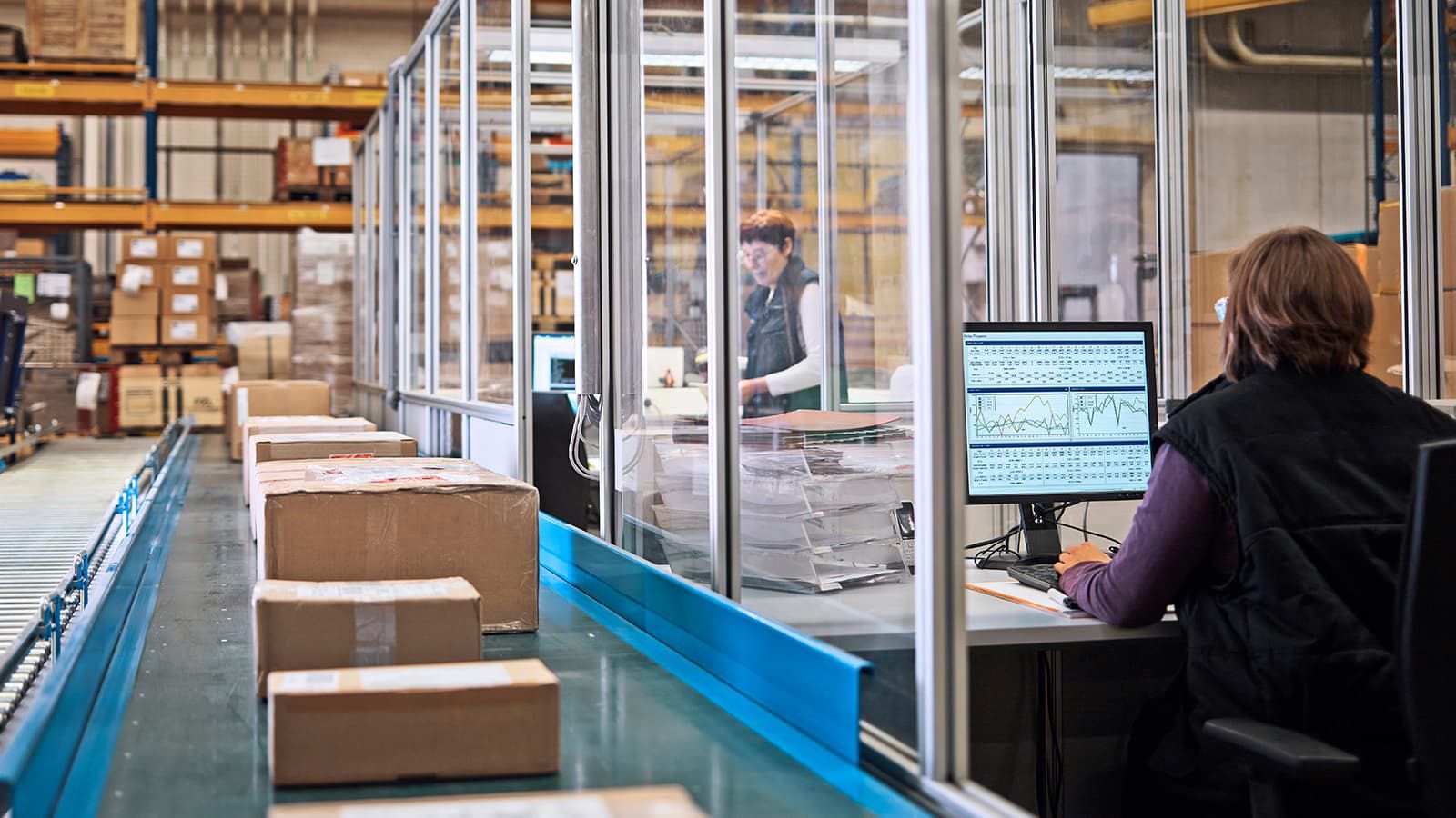 自动化软件 - WMS - DEMATIC/德马泰克 - 控制 / 仓库管理（WMS） / 规划