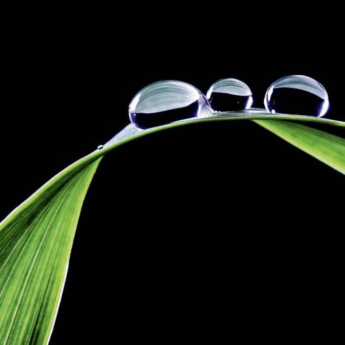 聚氨酯胶 - Collano Adhesives - 双组分 / 工业 / 防水